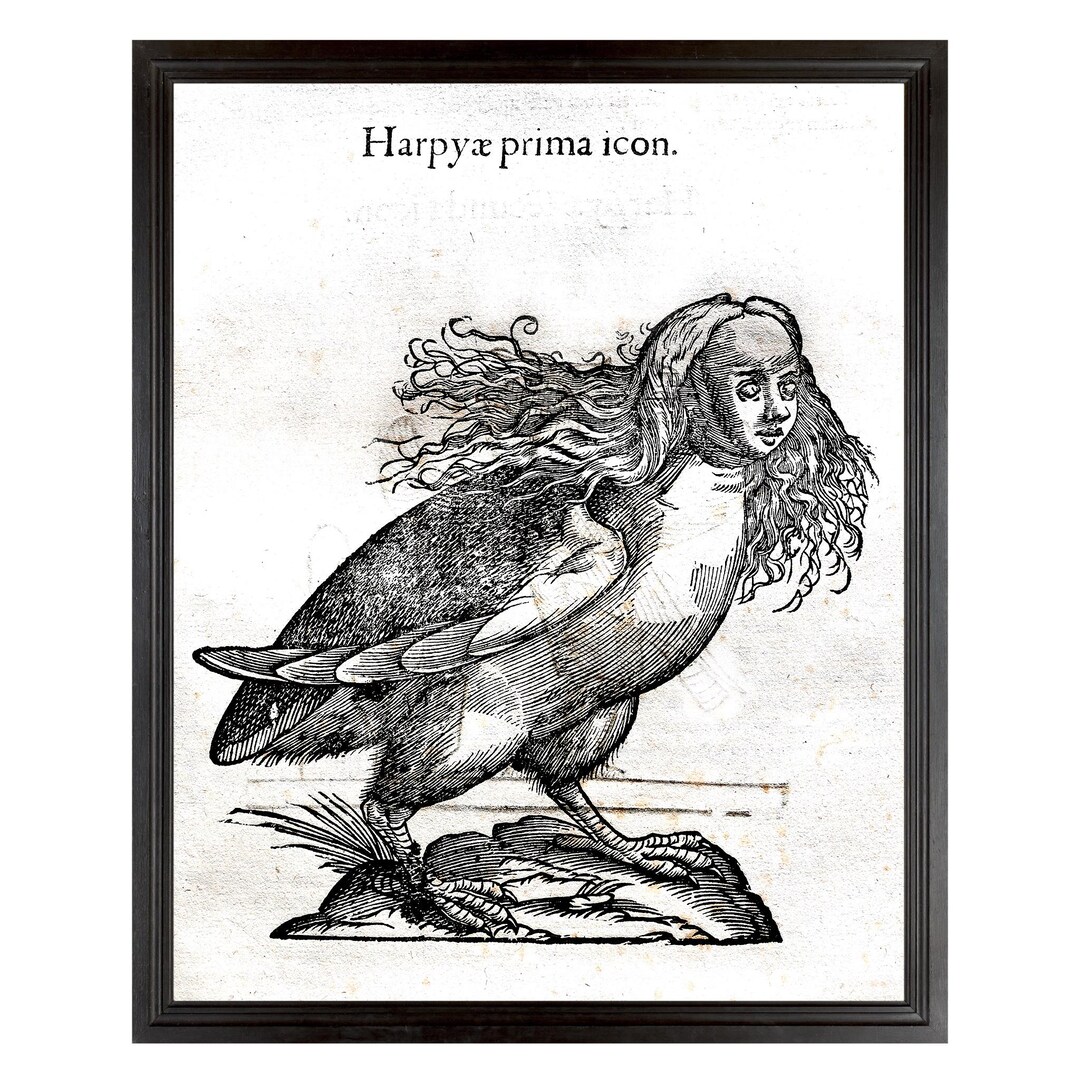 Harpy Medieval Wall Art, 16th Century Art Print, Medieval Renaissance ...