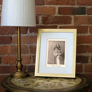Brünnhilde, Valkyrie Cat Photograph, Antique Vintage Cat Photo Print ...