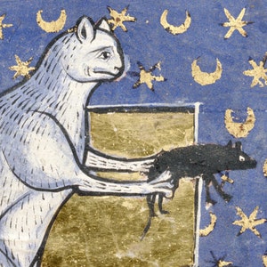 Silly Medieval Cats Art Print, 13th Century Art Print, Book ...