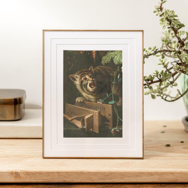 Weird Renaissance Cat Art Print, Abraham Mignon, 17th Century Painting ...