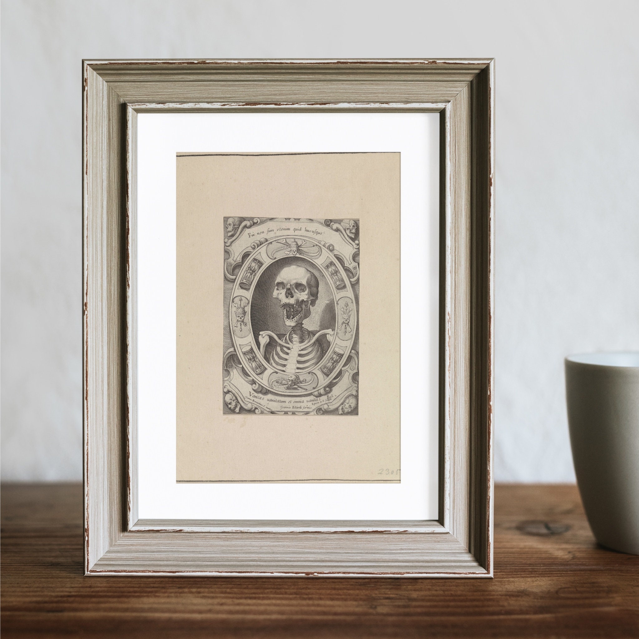 Bust of Skeleton, 16th Century Skeleton Print, Memento Mori, Vanitas ...