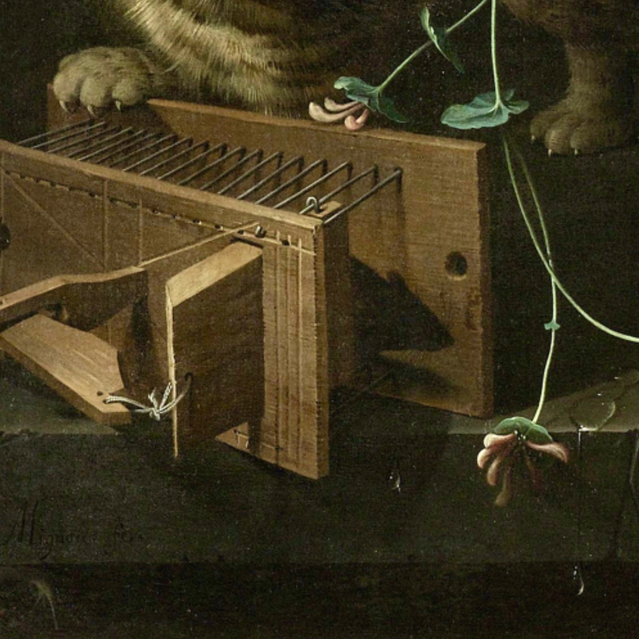 Weird Cat Renaissance Still Life, Cat Knocking Over a Vase of Flowers ...