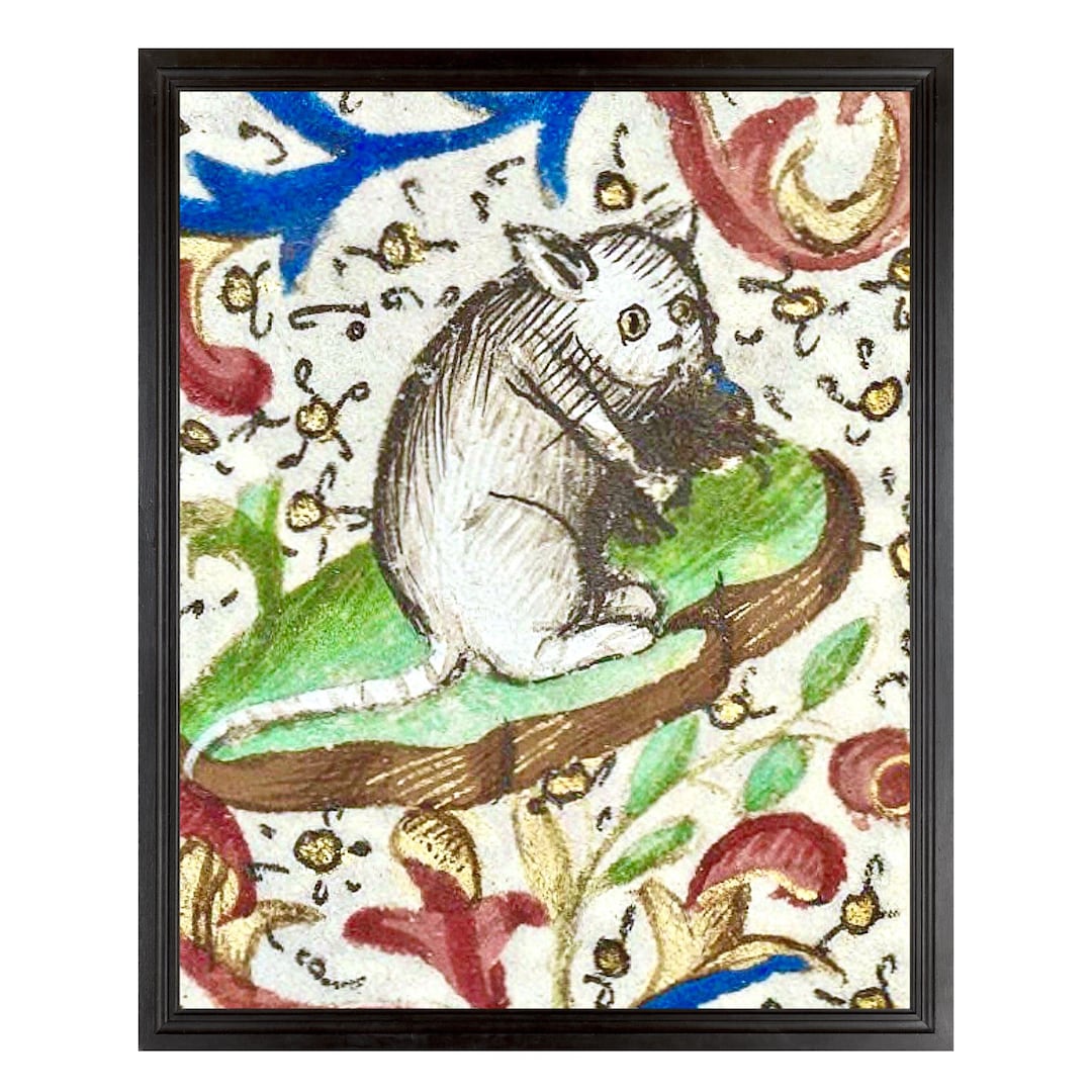 Derpy Medieval Cat Art, 15th Century 1400s Silly Cat Art Print, Middle ...