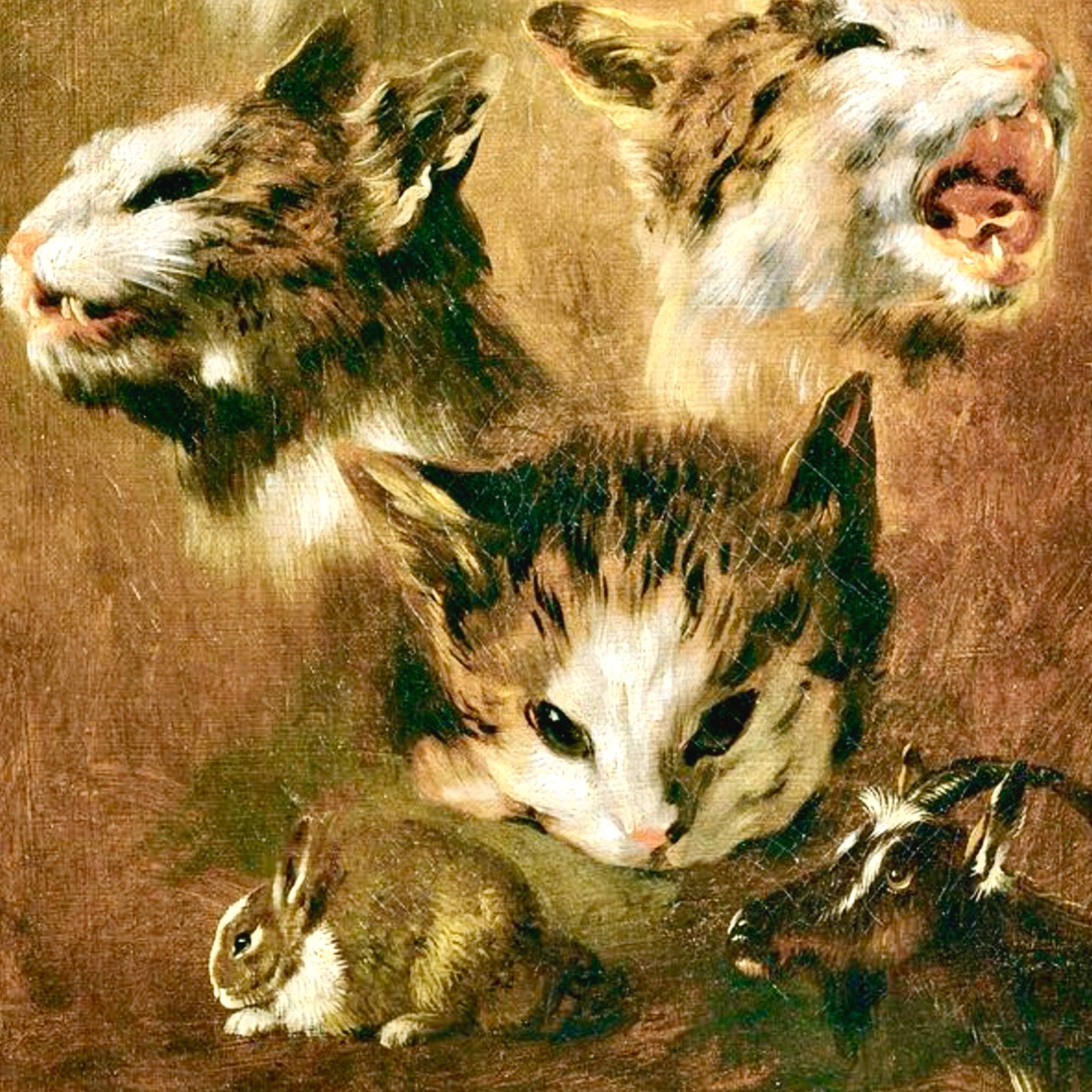 Outrageously Dramatic Renaissance Cat Art, Weird Antique Cat Painting ...