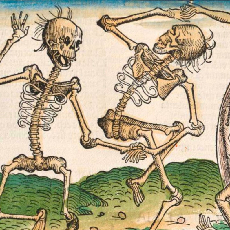 Medieval Skeleton Art the Skeleton Dance Michael Wolgemut - Etsy