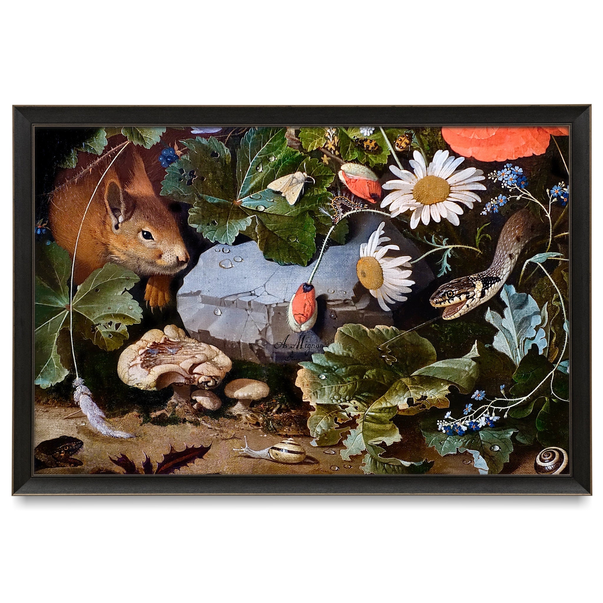 Renaissance Still-life With Squirrel, Snakes, Insects, Forest ...
