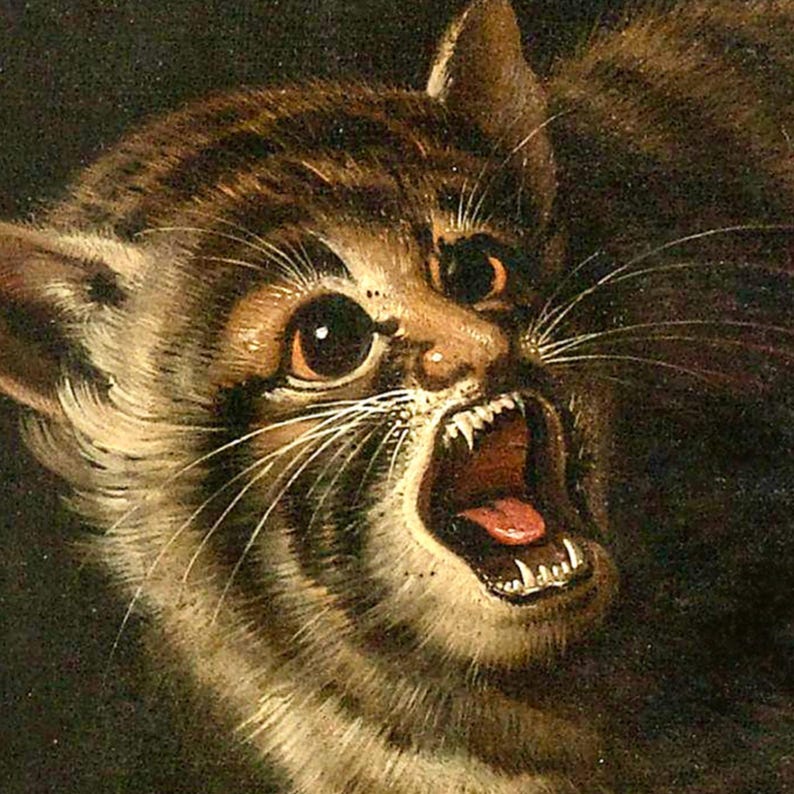 Weird Renaissance Cat Art Print, Abraham Mignon, 17th Century Painting ...