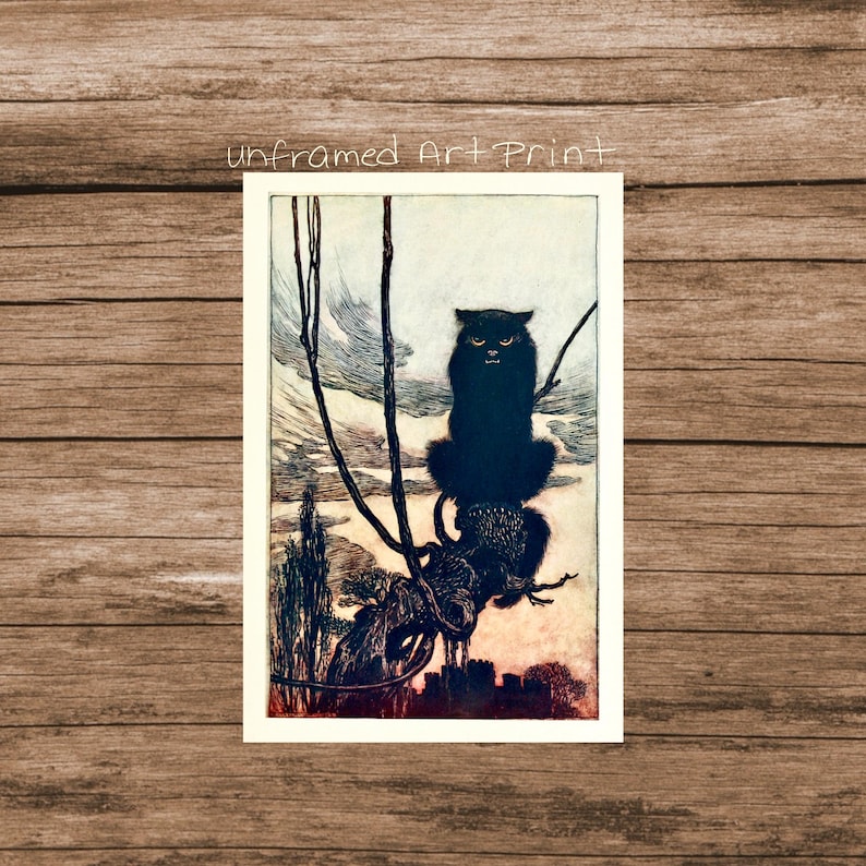 Grumpy Black Cat, Arthur Rackham Fairytale Book Illustration, Vintage ...