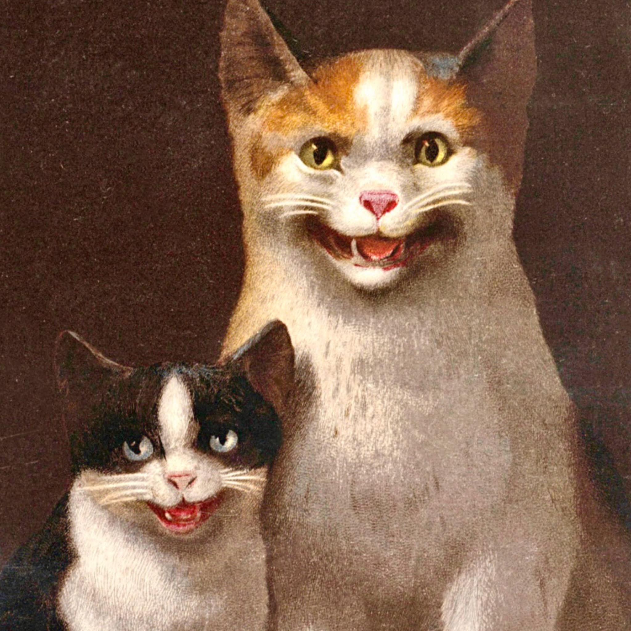 Smiling Cats Art Print, Victorian Print From Antique Card, Silly Cat ...