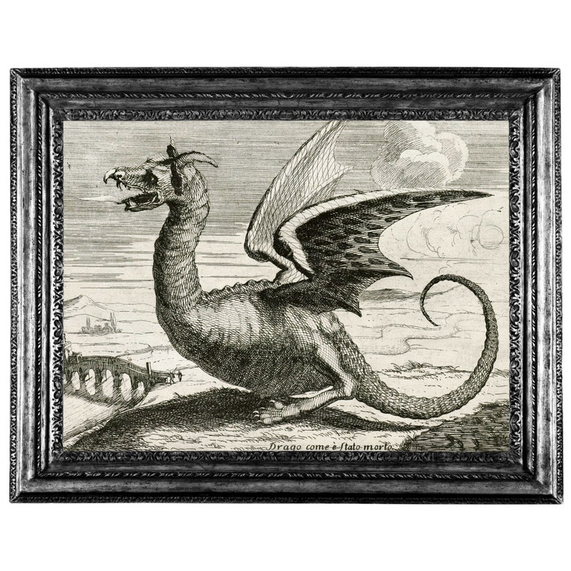 Dragon Print - Etsy