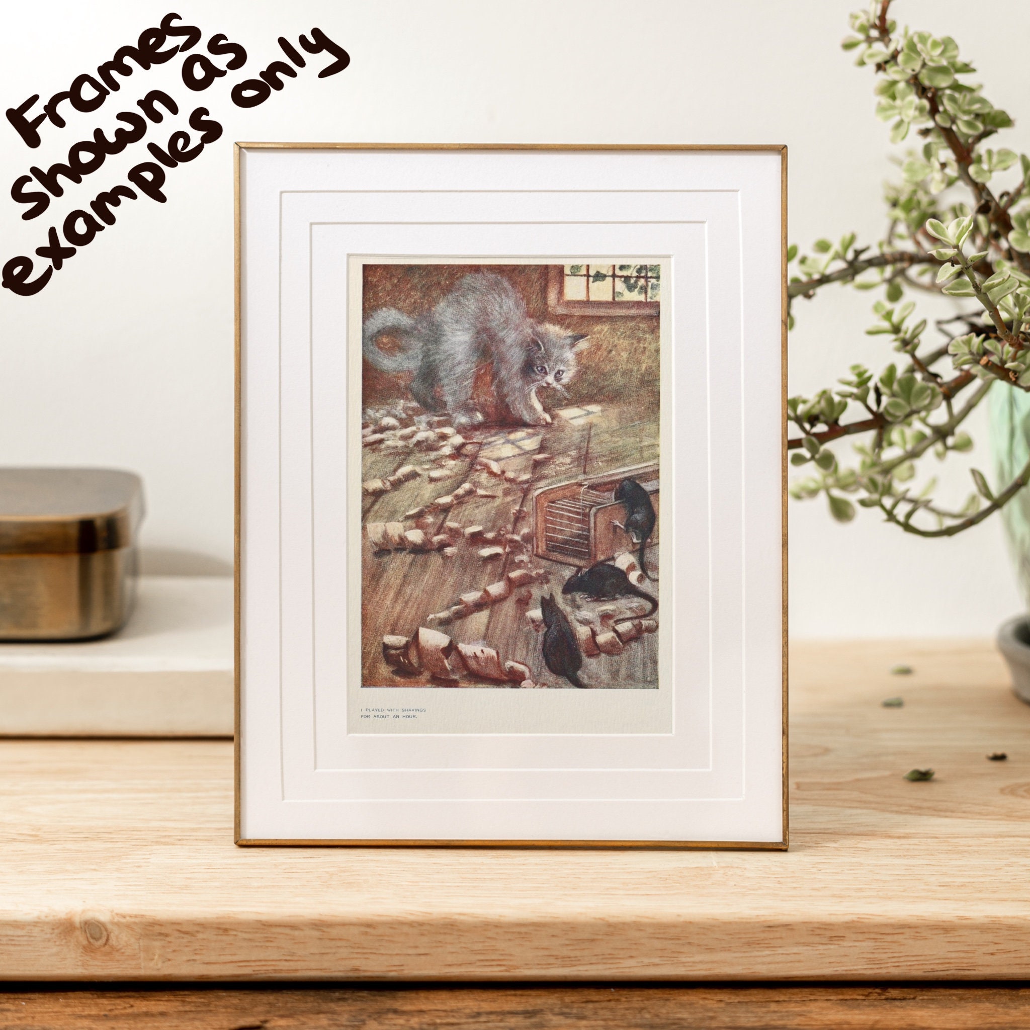 Colored Cat Book Illustration, Grey Fuzzy Kitten, Reproduction ...