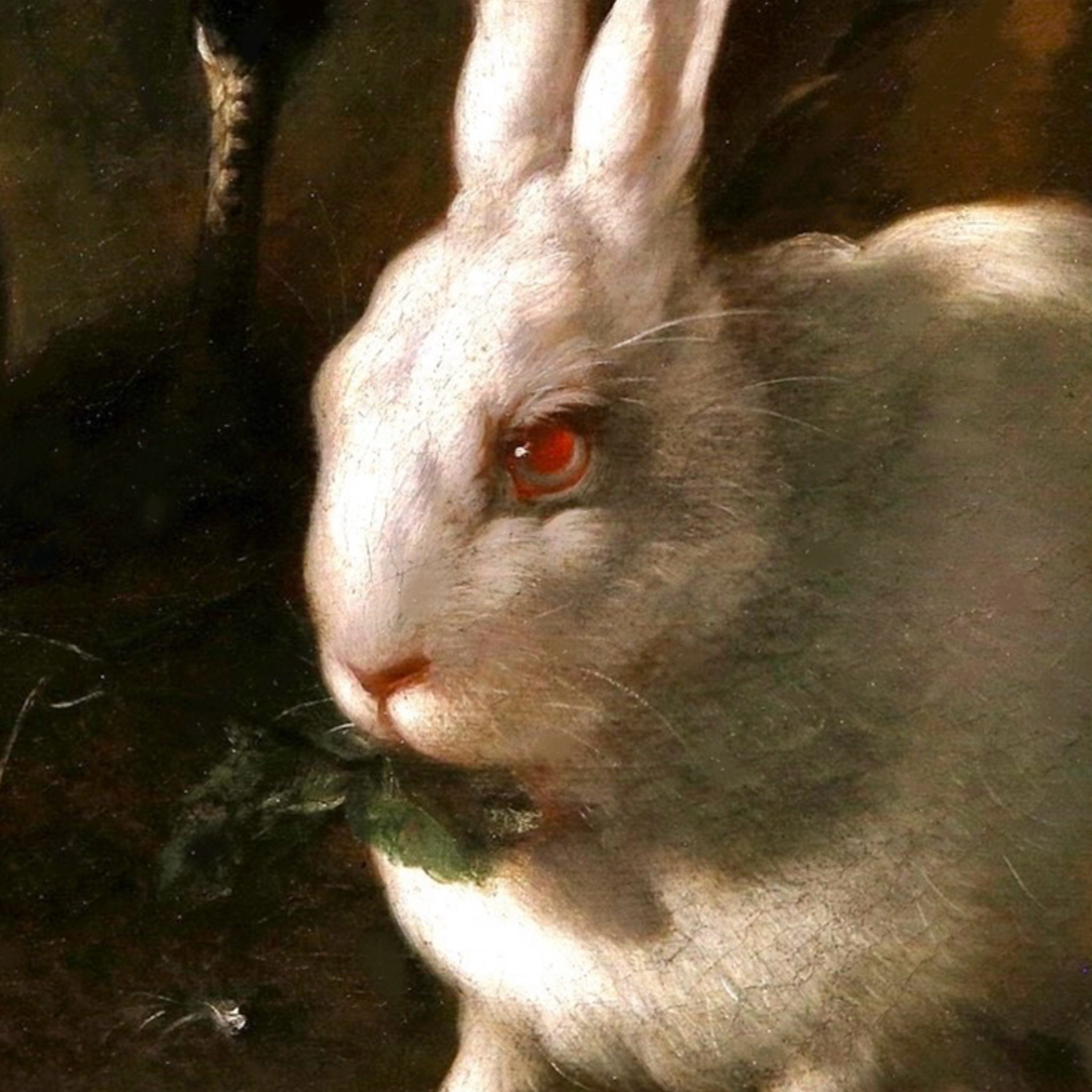 Gothic White Rabbit With Red Eyes, Baroque Antique Painting Art Print ...