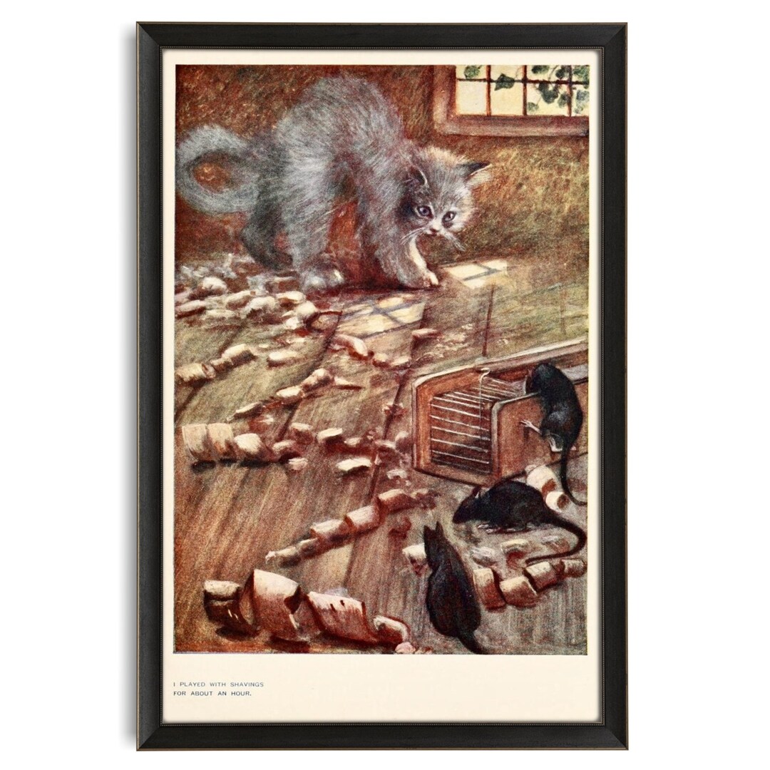 Colored Cat Book Illustration, Grey Fuzzy Kitten, Reproduction ...