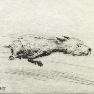 Dog With Zoomies, Reproduction Vintage Dog Illustration, Running Little ...