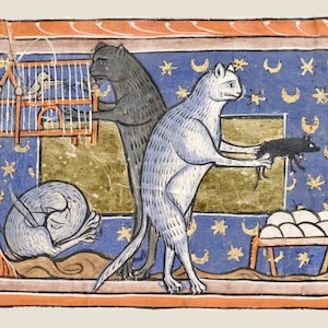 Silly Medieval Cats Art Print, 13th Century Art Print, Book ...