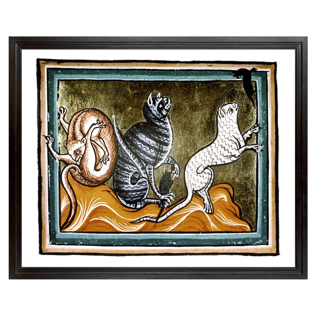 Medieval Cats and Rats, 8x10, 13th Century Art Print, Illustration ...