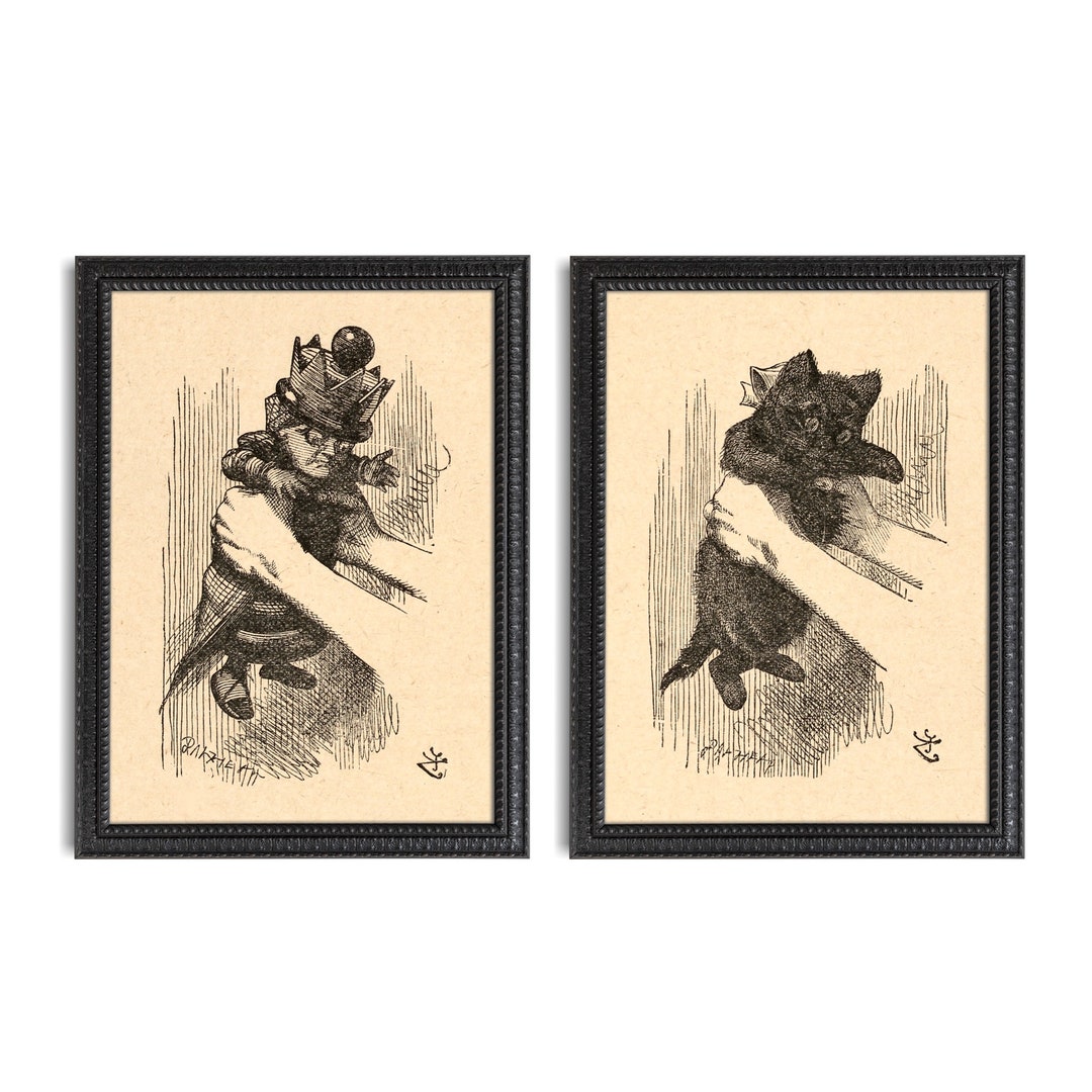 Alice Through the Looking Glass Red Queen Black Kitty Hallucination Set ...