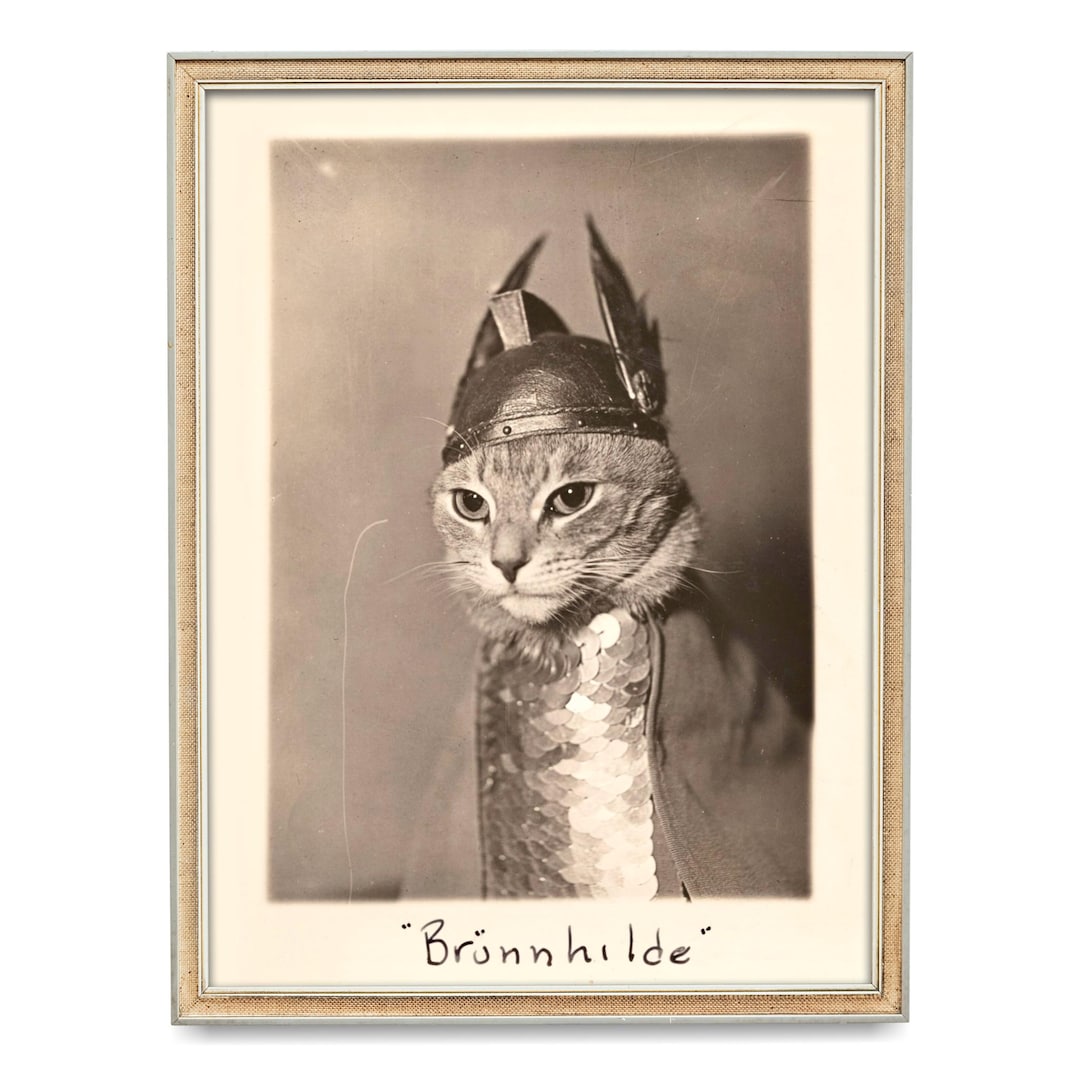 Brünnhilde, Valkyrie Cat Photograph, Antique Vintage Cat Photo Print ...