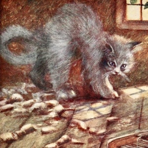Colored Cat Book Illustration, Grey Fuzzy Kitten, Reproduction ...