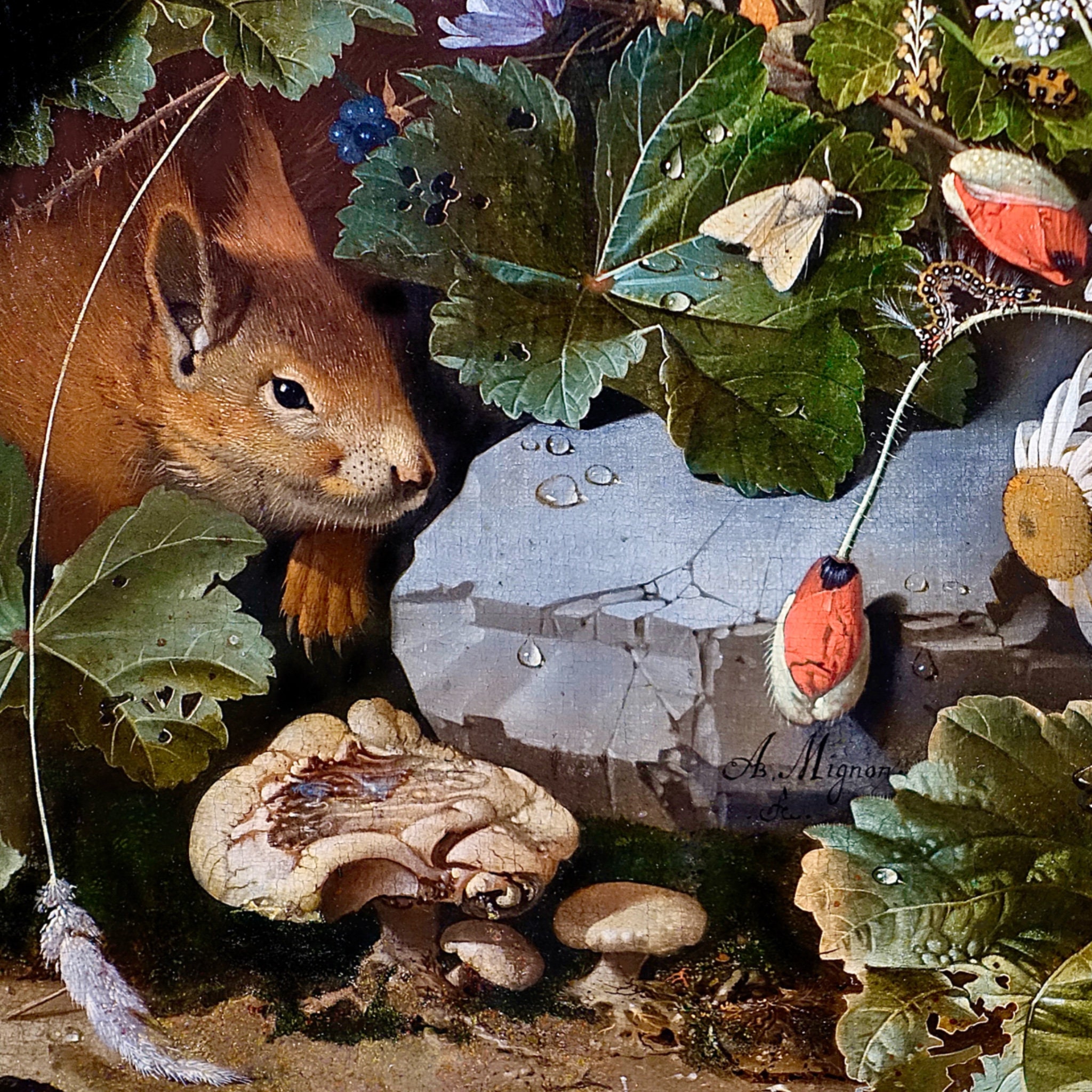 Renaissance Still-life With Squirrel, Snakes, Insects, Forest ...