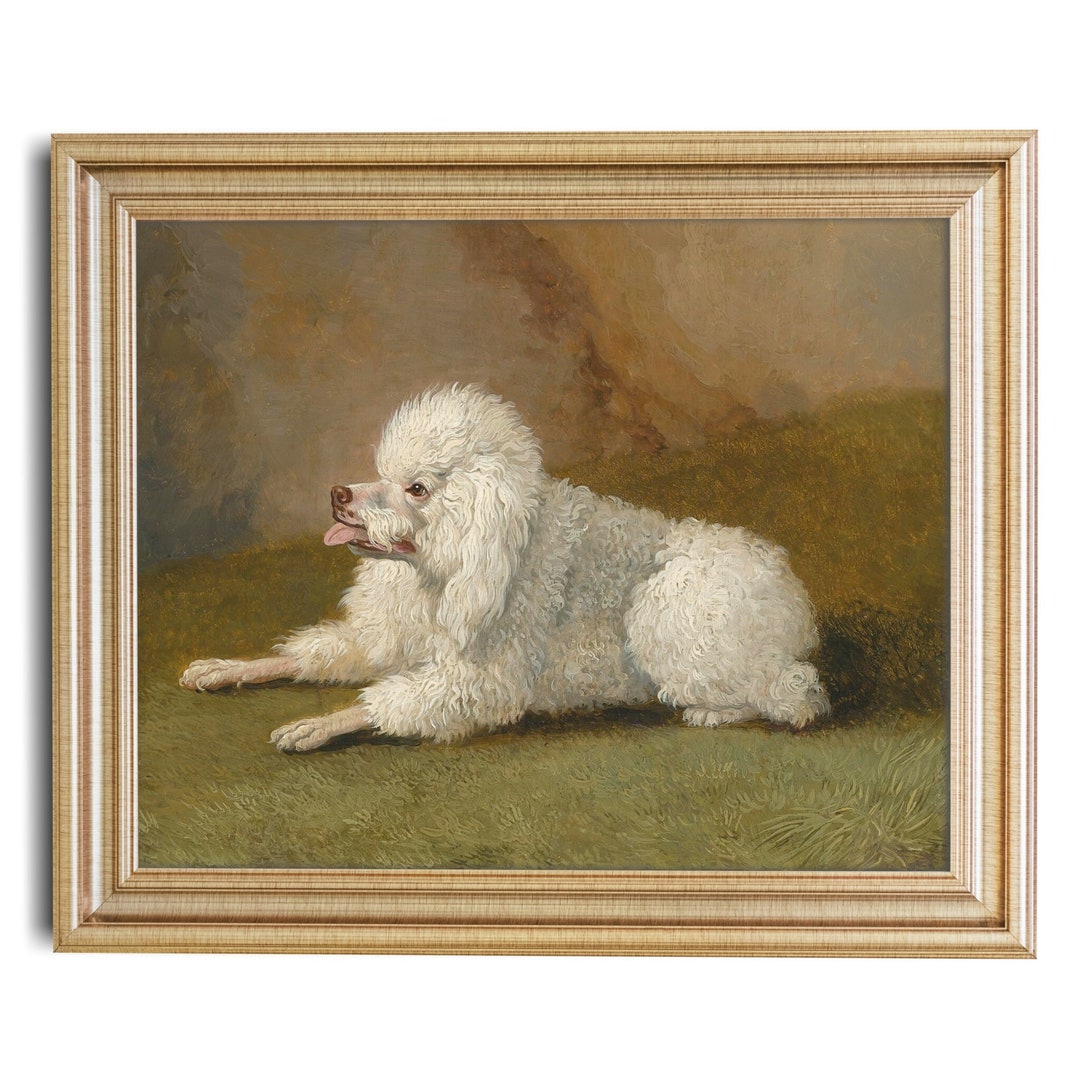 Silly 18th Century White Poodle, Weird Old Dog Painting, Antique Poodle ...