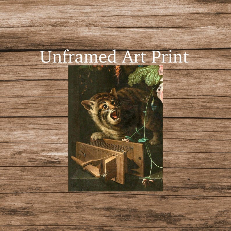 Weird Renaissance Cat Art Print, Abraham Mignon, 17th Century Painting ...