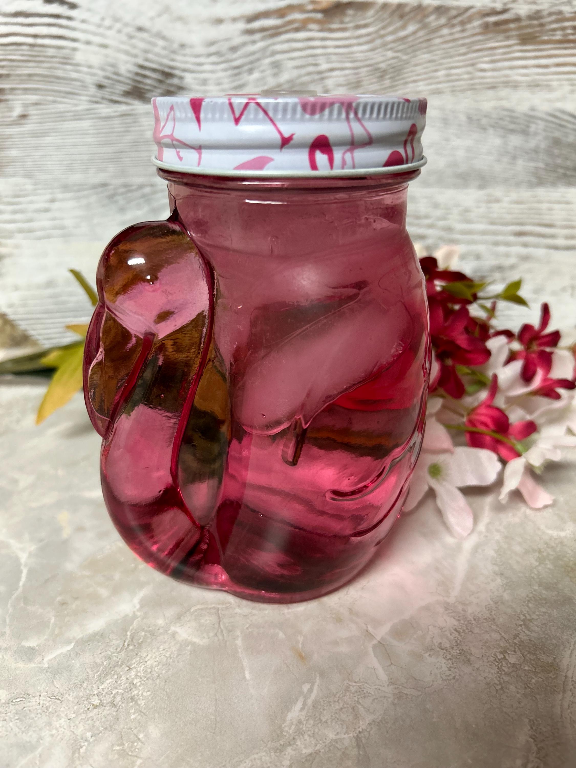 Flamingo Clear Glass 18 Oz Mason Jar Tumbler Includes Silver Lid - Etsy
