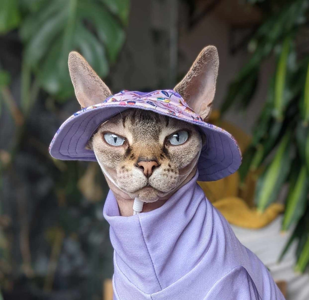Reversible Hat for Sphynx, Cornish Rex, Devon Rex and Other Small Cats ...