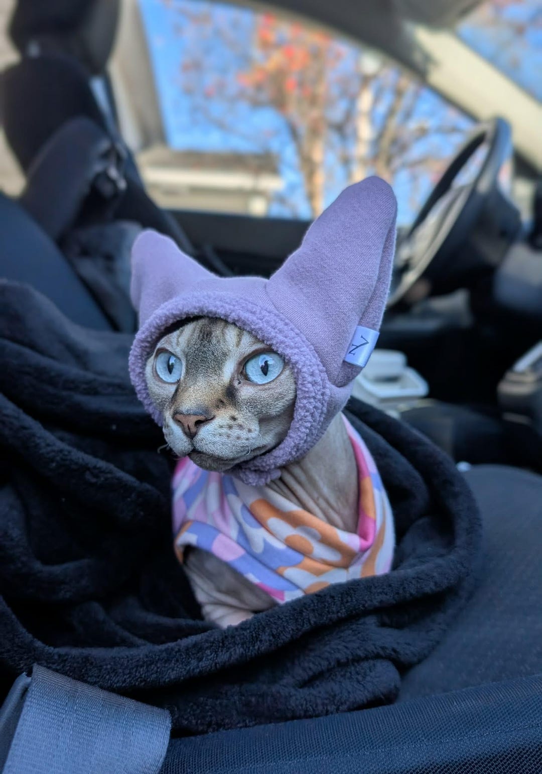 Winter Hat for Sphynx Cats - Hat - One Size Fits All Sphynxes and Small ...