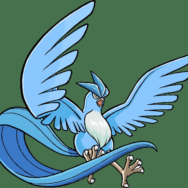 Bird Drawing - Etsy