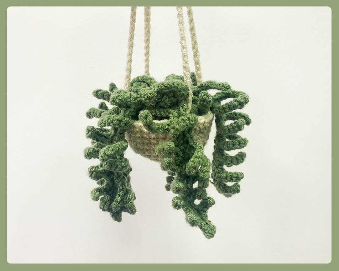 Fern Plants Car Hanging Fern Plants Crochet Gift Car - Etsy