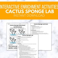 46 Second 2nd Grade Dolch Sight Words Worksheets for Kids, Instant ...