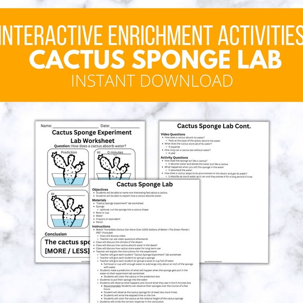 46 Second 2nd Grade Dolch Sight Words Worksheets for Kids, Instant ...