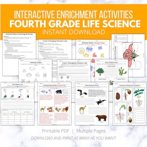 Fourth Grade Life Science Bundle: Interactive Learning for Young ...
