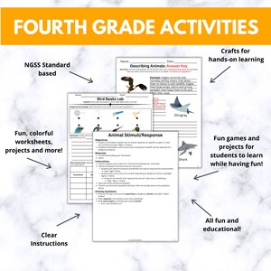 Fourth Grade Animal Needs Worksheets, Life Science, Interactive ...