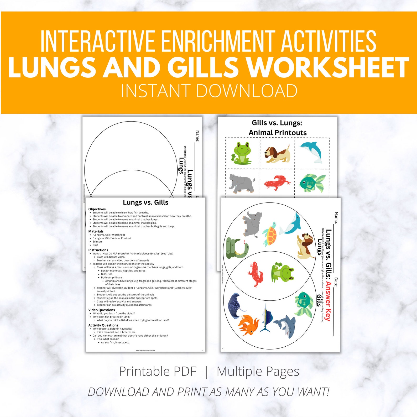Kindergarten Lungs and Gills Worksheet, Cut and Paste Activity, Venn ...