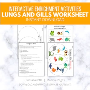 Kindergarten Lungs and Gills Worksheet, Cut and Paste Activity, Venn ...