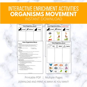 Kindergarten Organism Movement Worksheets: Six Animal Movements ...