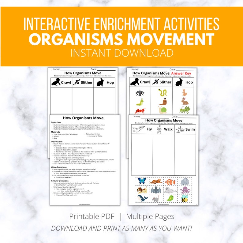Kindergarten Organism Movement Worksheets: Six Animal Movements ...