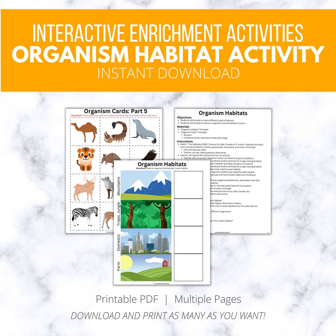 Kindergarten Habitats, Colorful Reusable Organism Sorting Activity Mats ...