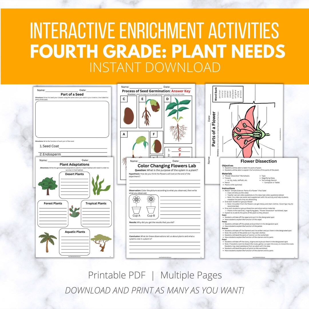 Fourth Grade Plant Needs Activities, Life Science: Interactive Learning ...