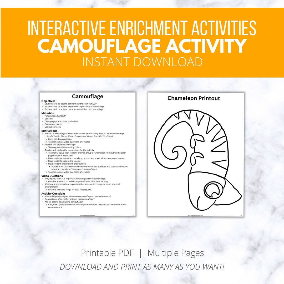 Kindergarten Camouflage Exploration Activity, Hands-on, Animal ...