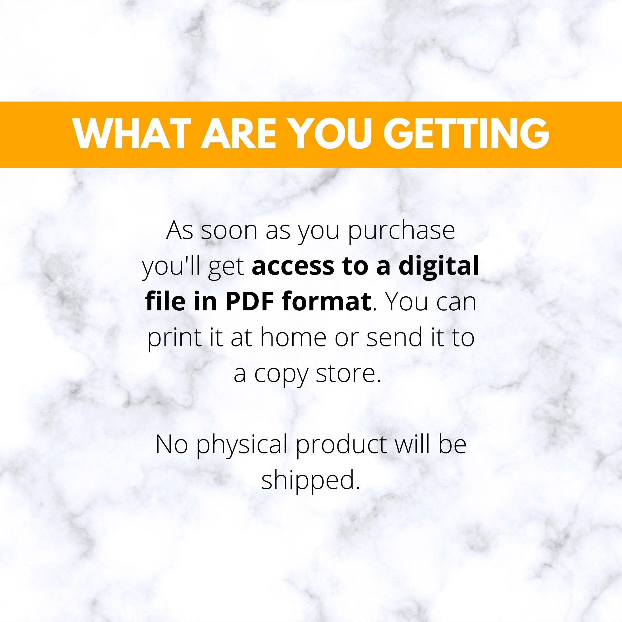 Kindergarten Oxygen Cycle Worksheet: Cut & Paste Ecosystem Exploration ...