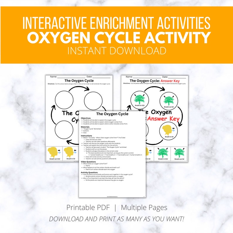 Kindergarten Oxygen Cycle Worksheet: Cut & Paste Ecosystem Exploration ...