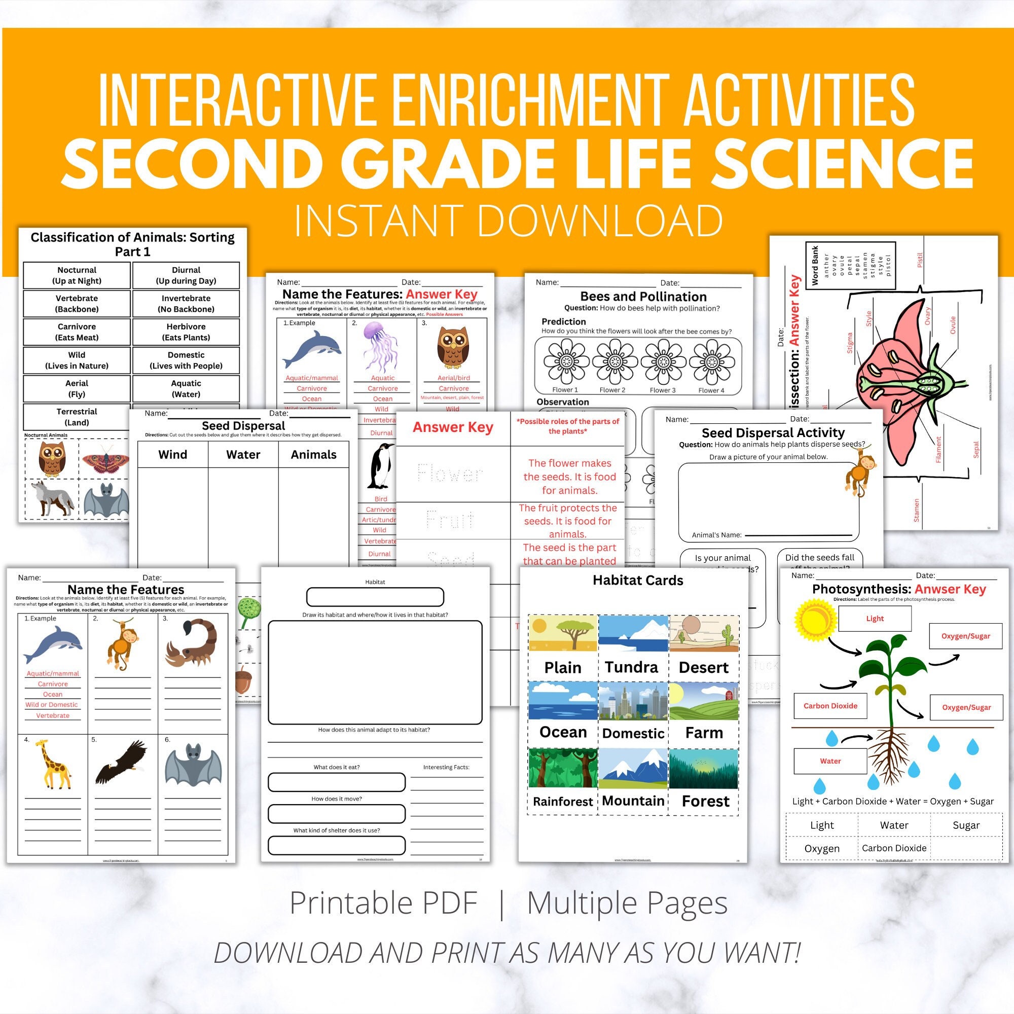 Second Grade Life Science Mega Bundle: Interactive Learning for Young ...
