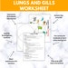 Kindergarten Lungs and Gills Worksheet, Cut and Paste Activity, Venn ...