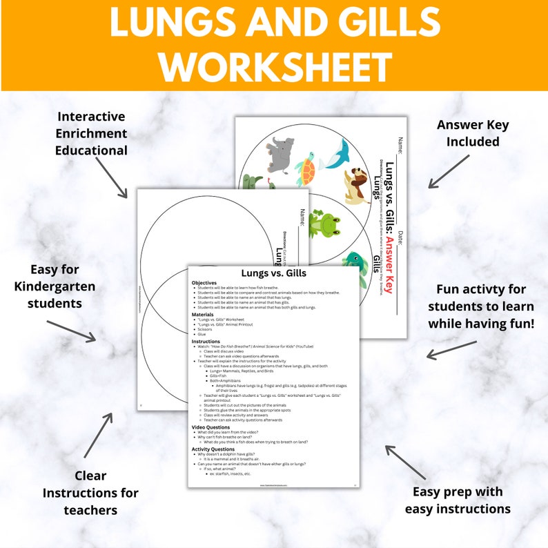 Kindergarten Lungs and Gills Worksheet, Cut and Paste Activity, Venn ...