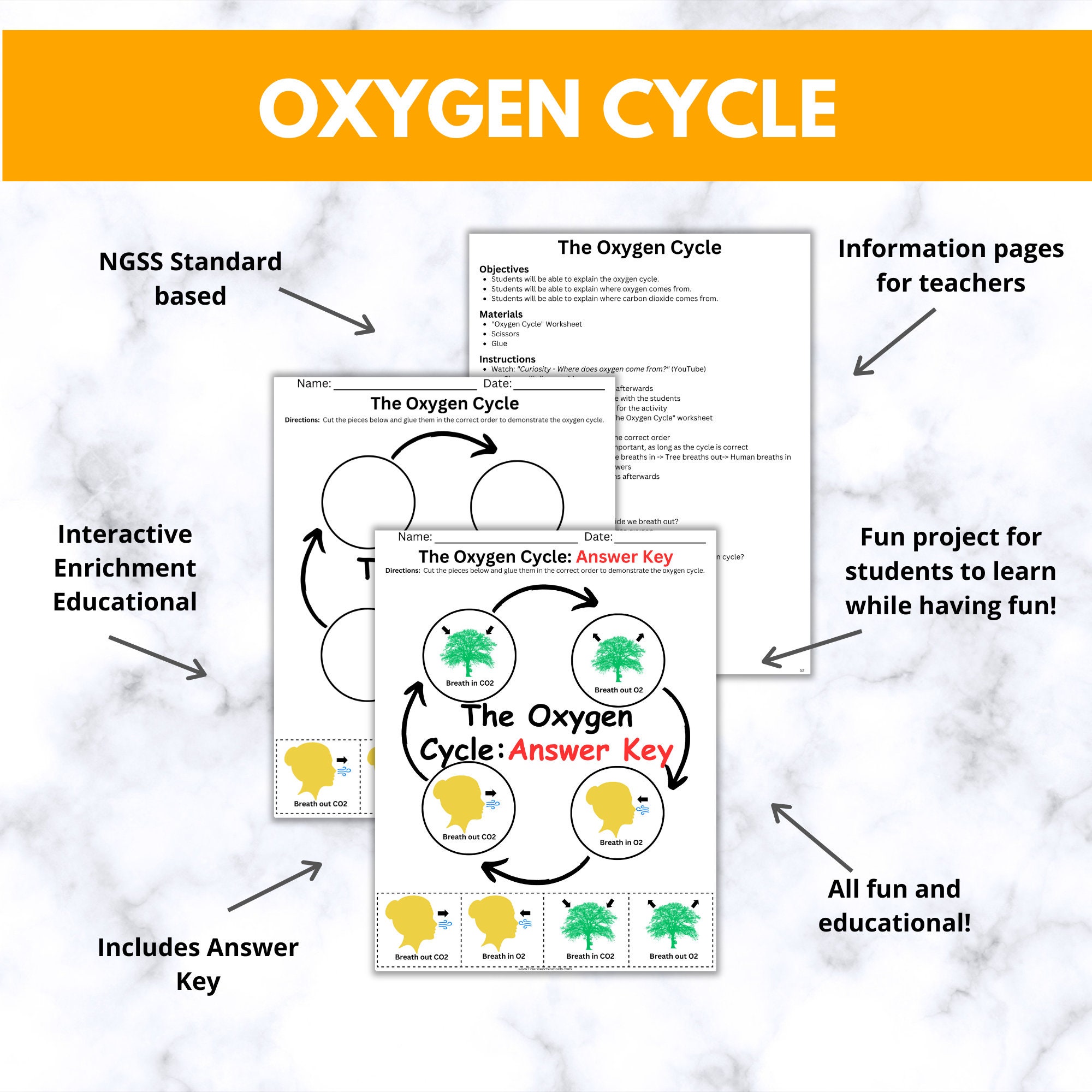 Kindergarten Oxygen Cycle Worksheet: Cut & Paste Ecosystem Exploration ...
