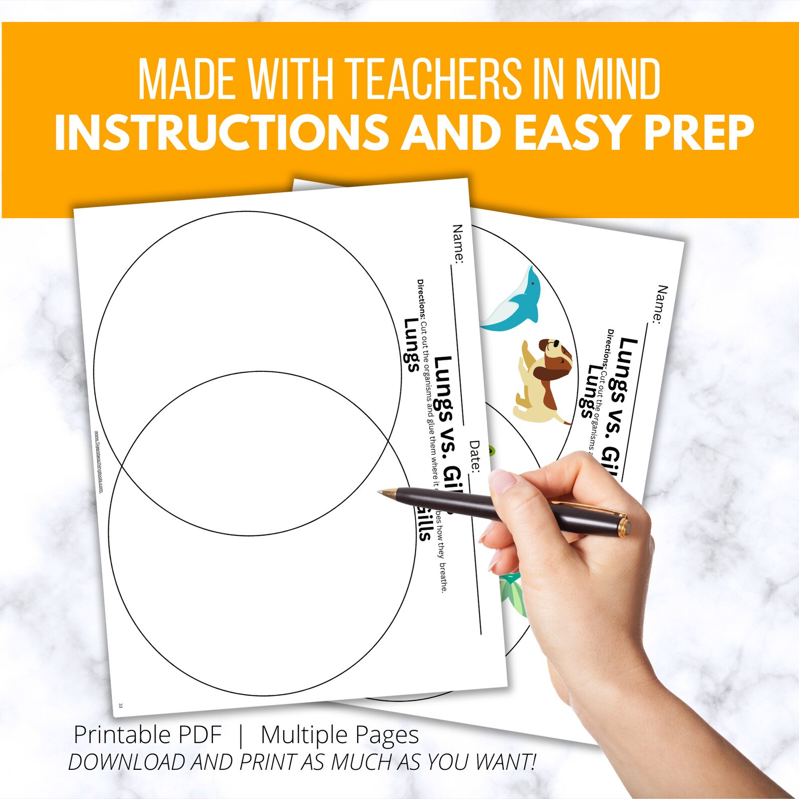 Kindergarten Lungs and Gills Worksheet, Cut and Paste Activity, Venn ...