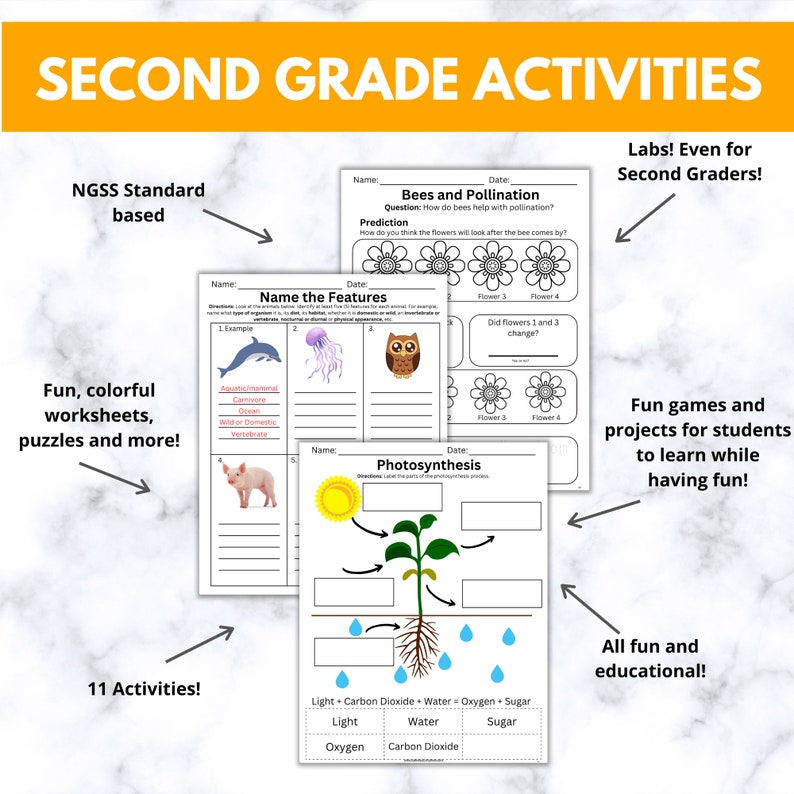 Second Grade Life Science Mega Bundle: Interactive Learning for Young ...